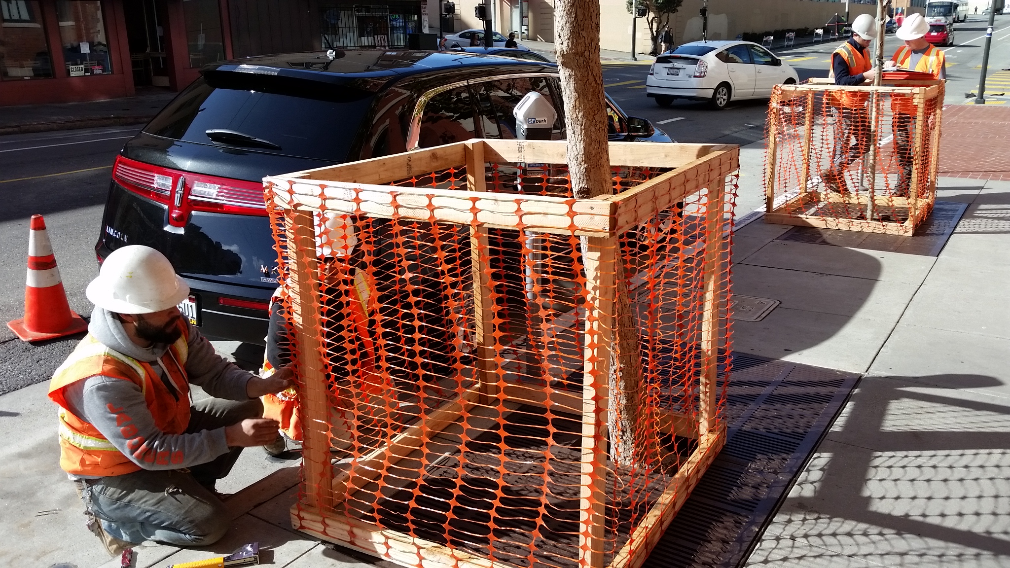 Tree Protection | Public Works